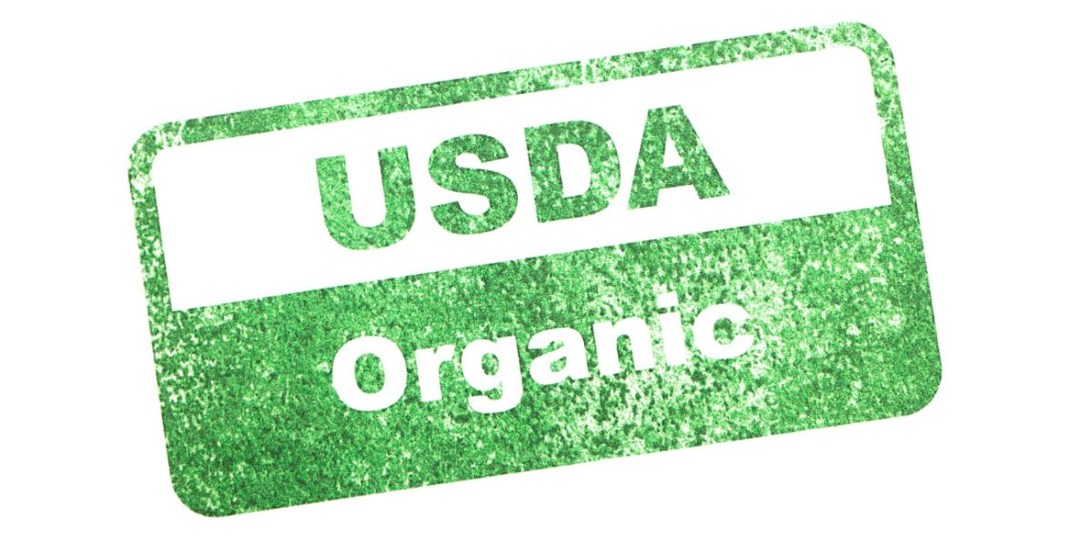 Trà thảo mộc - Hướng đi mới cho xuất khẩu thương mại điện tử